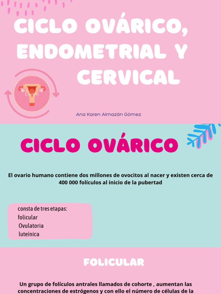 Ciclo Ovarico, Endometrial, y Cervical | PDF
