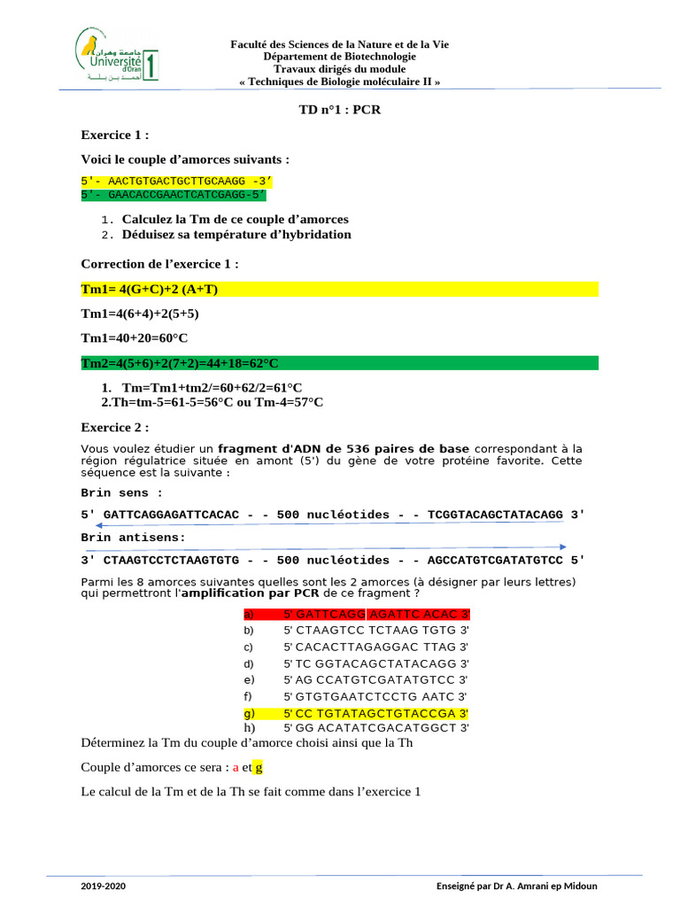 Corrigã-Type - TD-1.PCR 2 | PDF