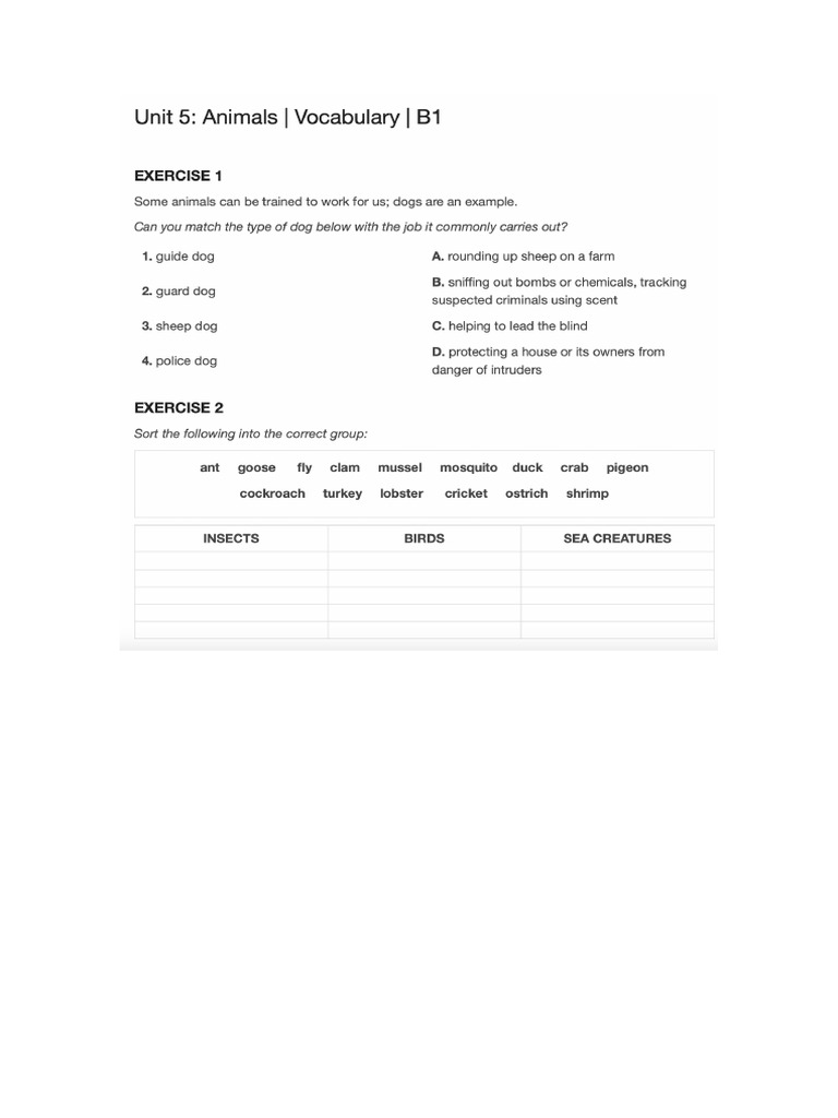 Unit 5 Animals Lesson | PDF