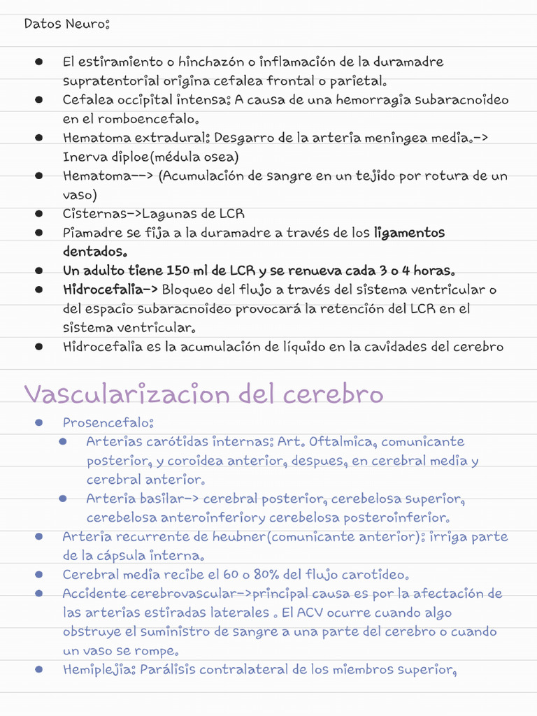 Enfermedades Neuro - 240624 - 100324 | PDF