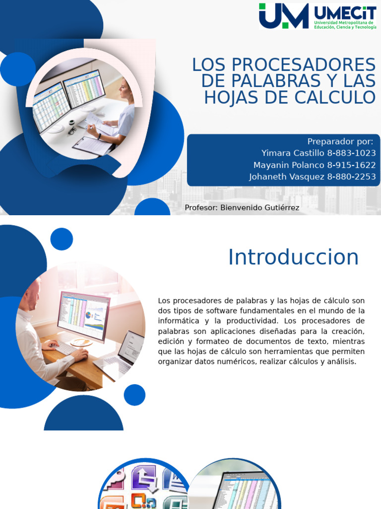 Procesadores y Hojas de Calculo | PDF