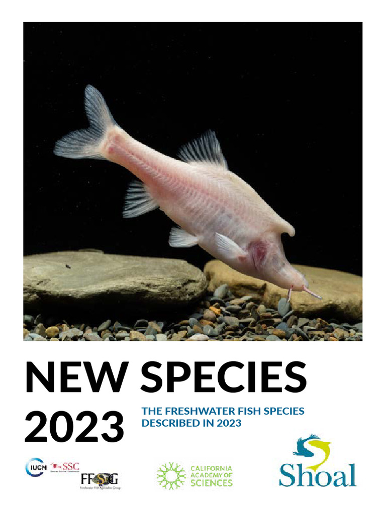 New Species 2023 | PDF