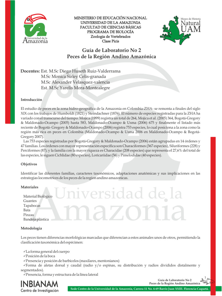 Guia No 2 Peces_merged (1) | PDF