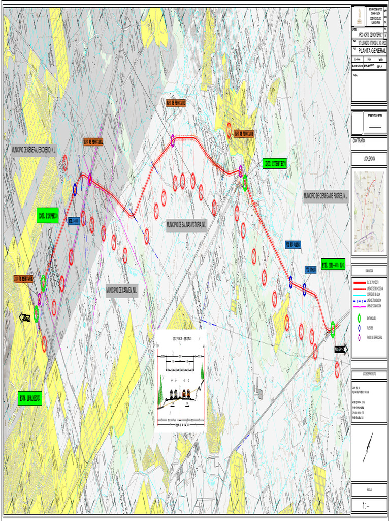Larguillo - ANM v. Final | PDF