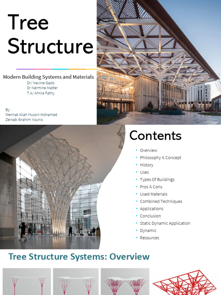 Tree Structure - Mennat Allah Hussin Mohamed - Zeinab Ibrahim Younis | PDF