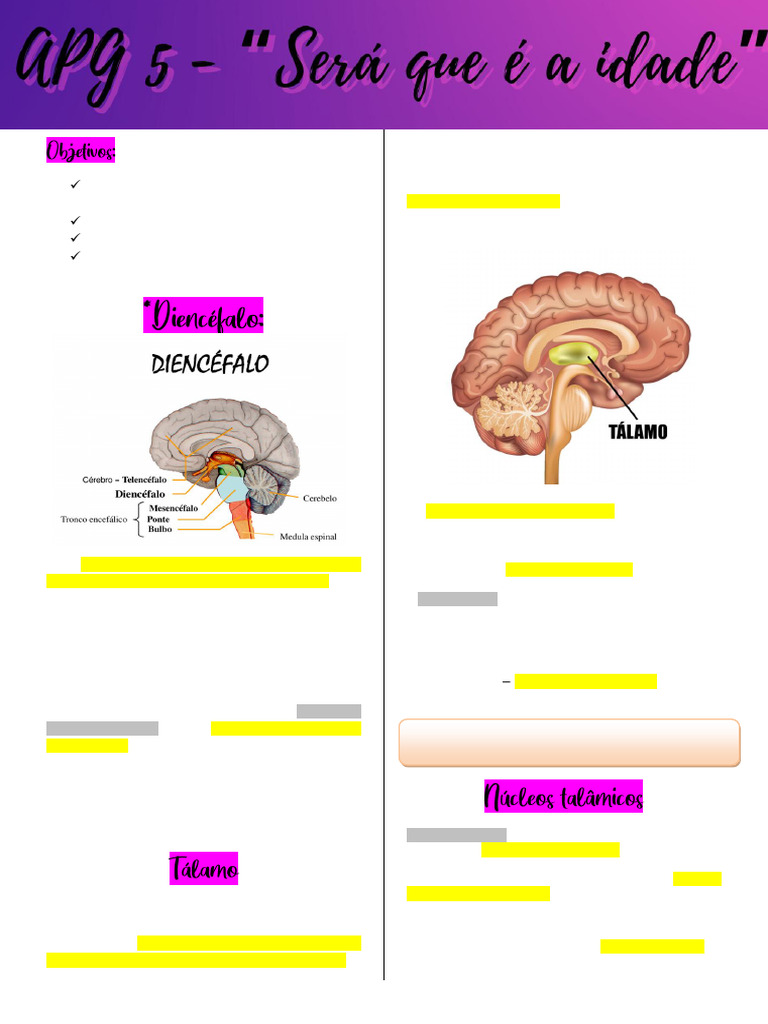 Apg 5 - Será Que É A Idade | PDF