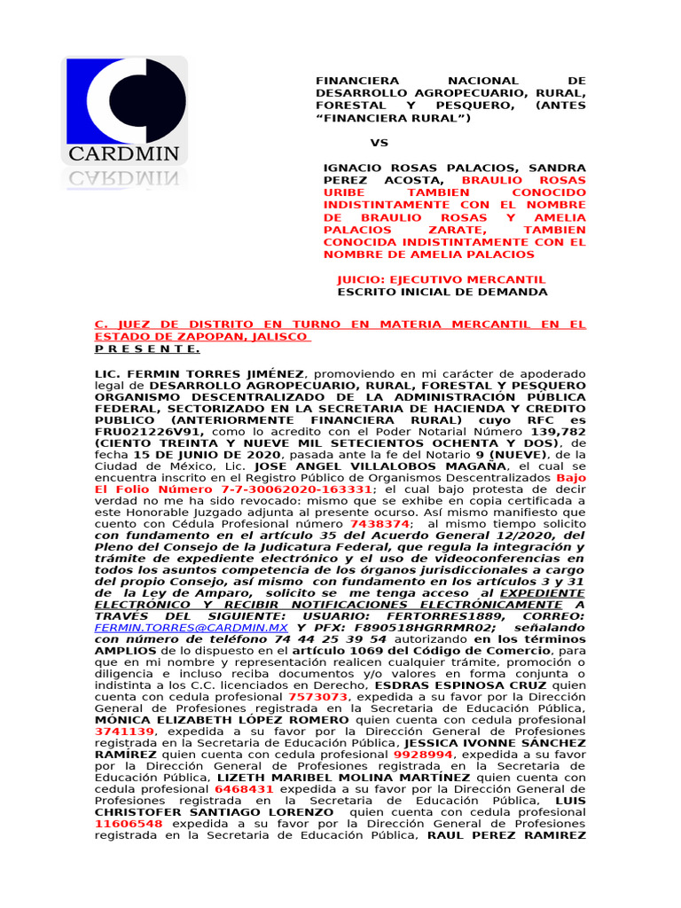 Ignacio Rosas Palacios, Sandra Perez Acosta Ejecutivo Mercantil Pago de ...
