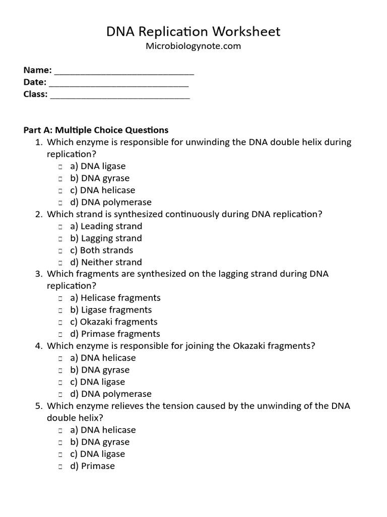 DNA Replication-Worksheet | PDF
