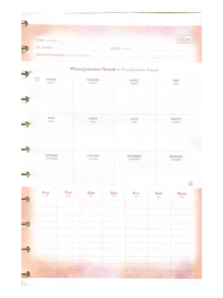 Notas | PDF