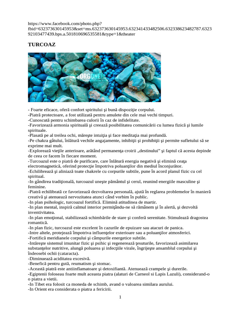 TURCOAZ | PDF