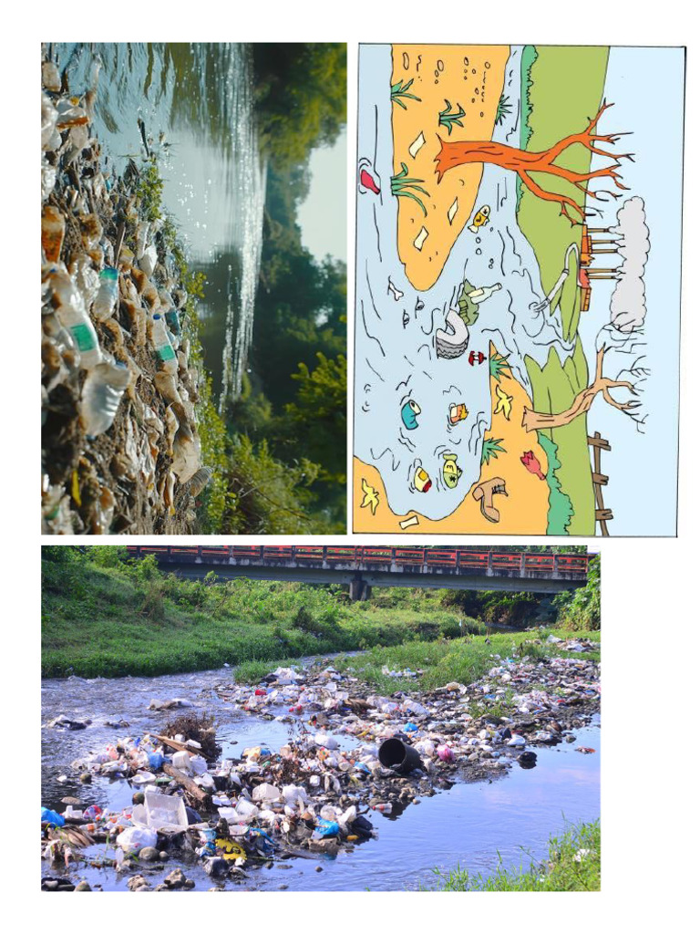 Contaminacion de Los Rios | PDF