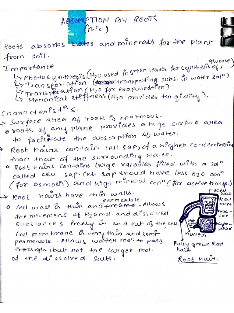 Absorption Class X | PDF