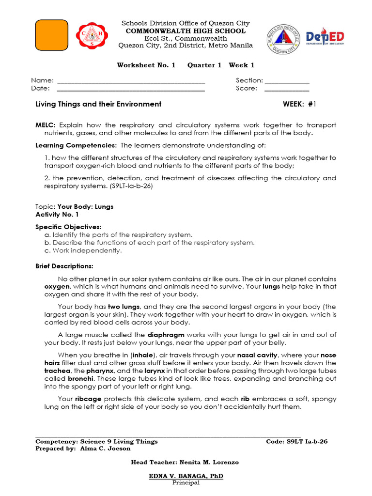 q1w1 Act 1 4 Your Body | PDF