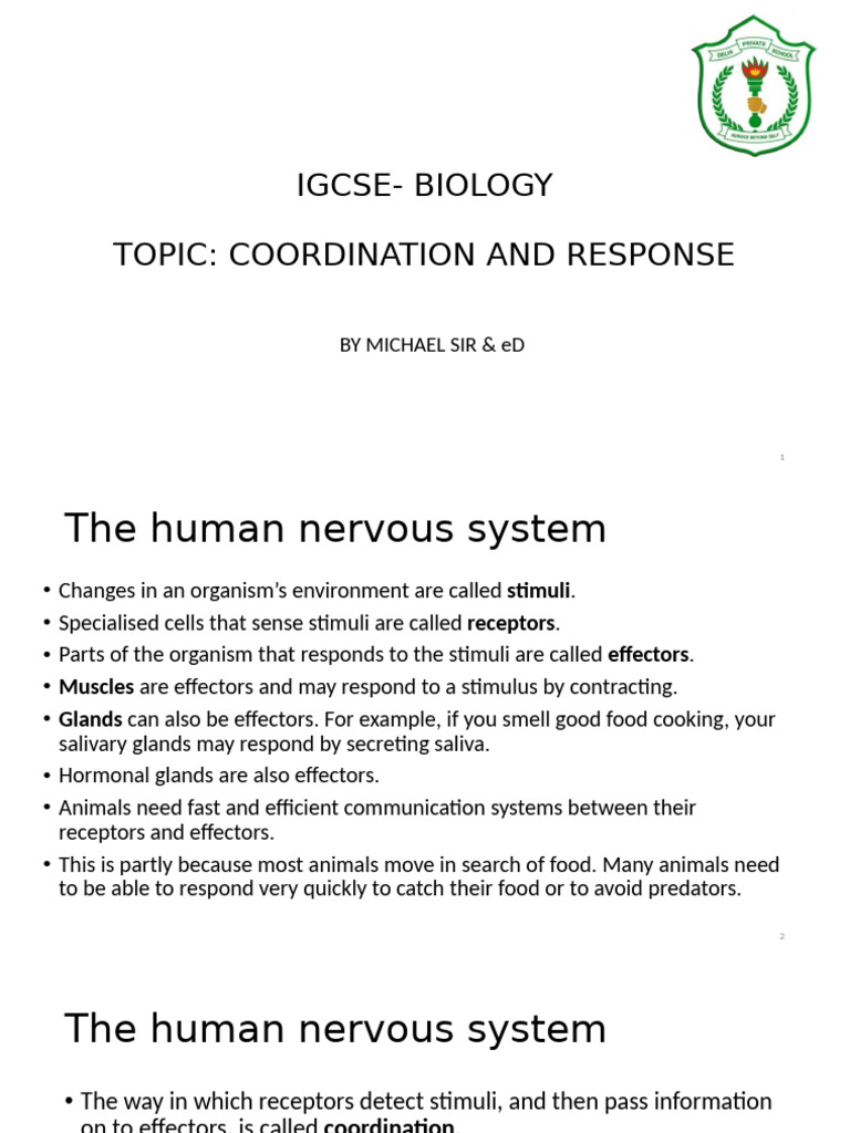 Nervous System - Coordination and Response | PDF