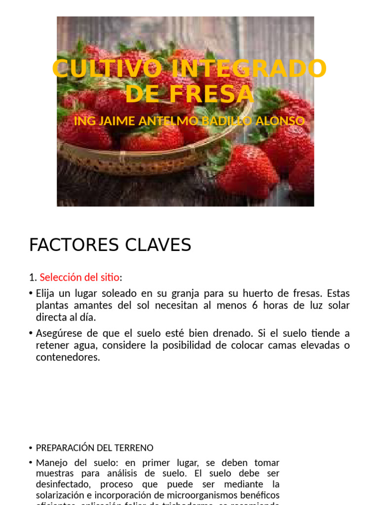 Guía Completa para Cultivar Fresas | PDF | fresa | Fruta