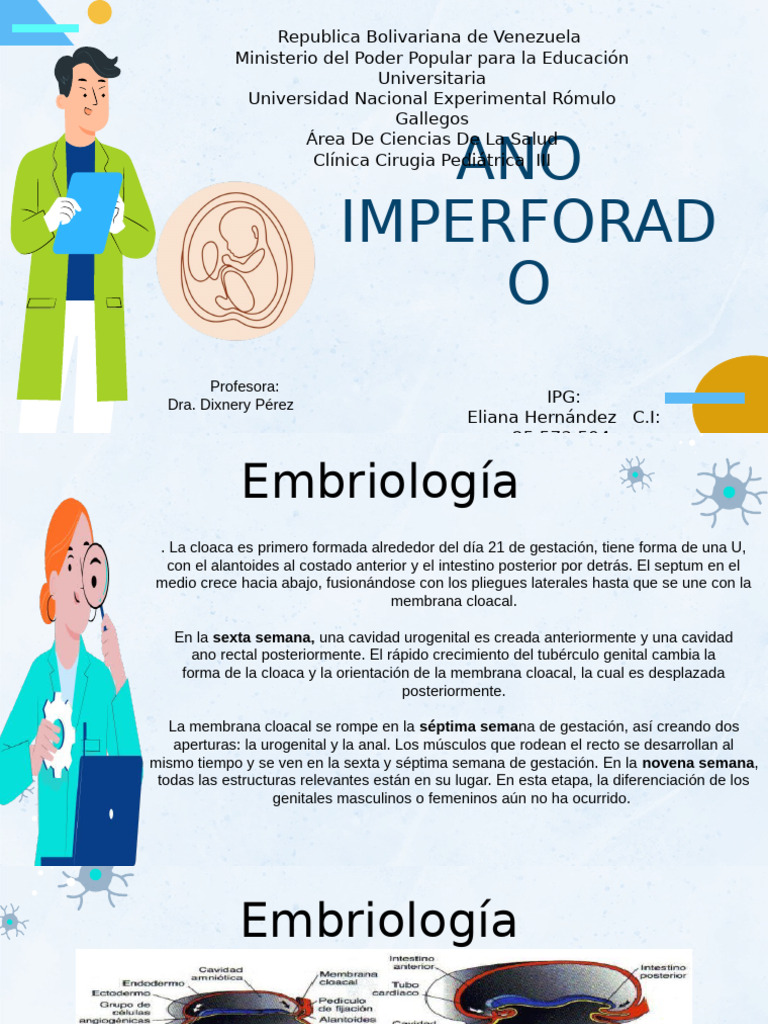 Ano Imperforado | PDF