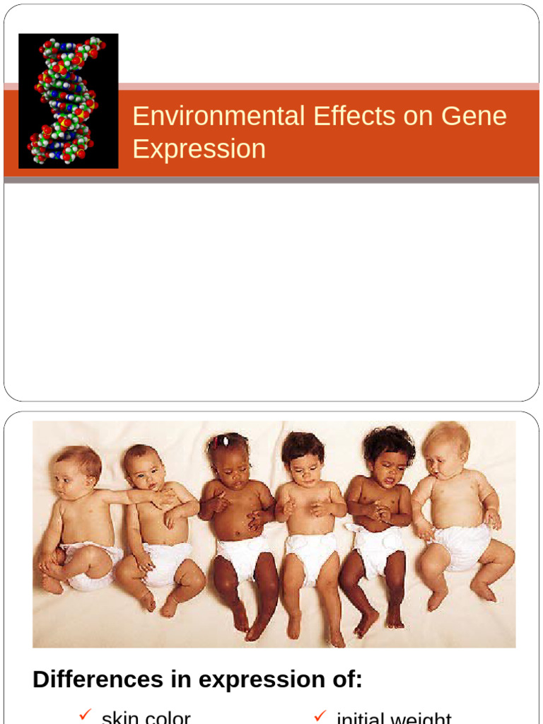 Environmental Impact on Gene Expression | PDF | Genotype | Blood Type
