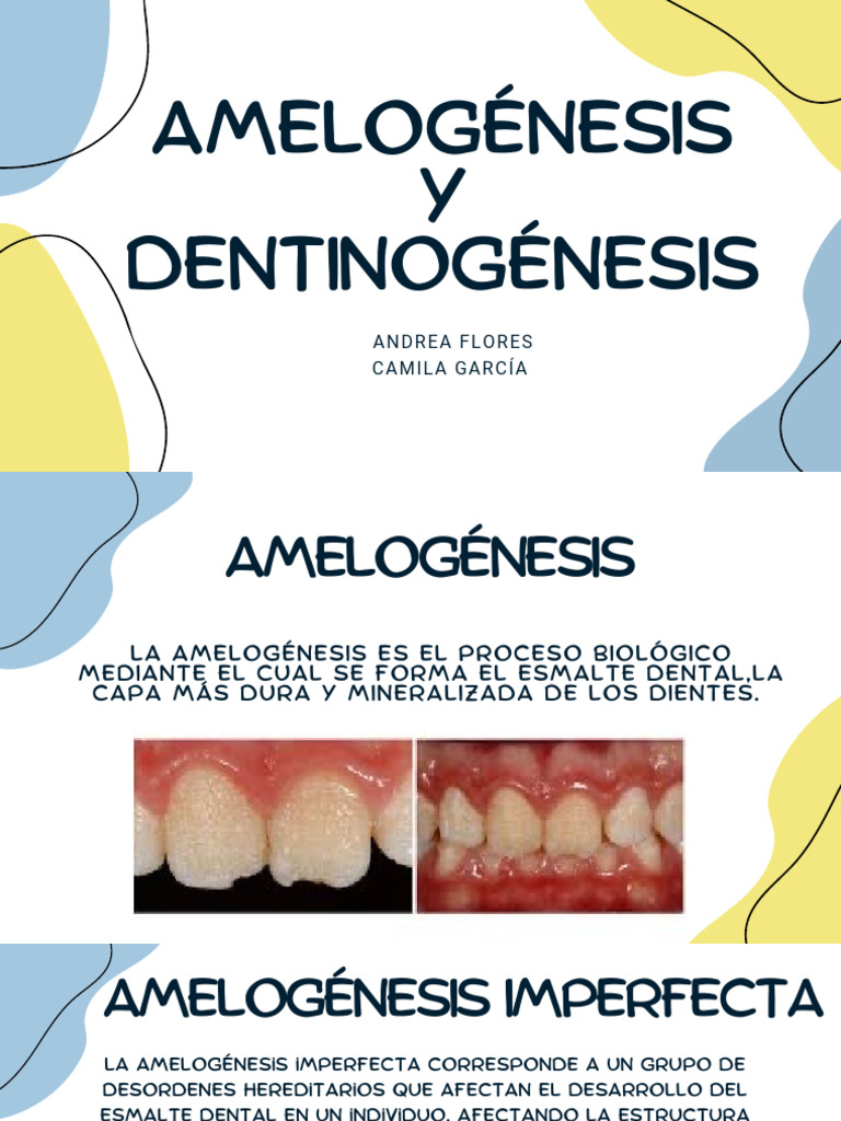 Amelogenésis y dentinogénesis | PDF