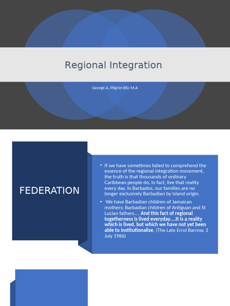 Lect 8 FOUN 1301 INTEGRATION | PDF