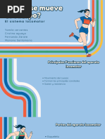 Músculos Del Torso | PDF | Sistema musculoesquelético | Anatomía humana