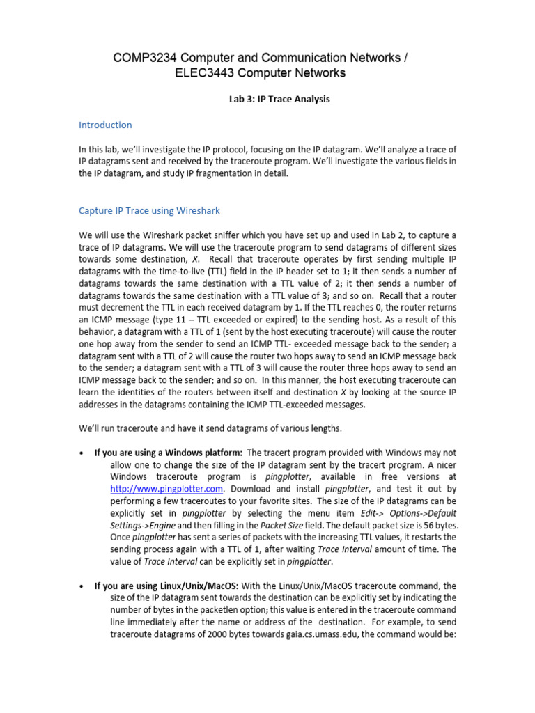 Lab3 Handout COMP3234 ELEC3443 | PDF