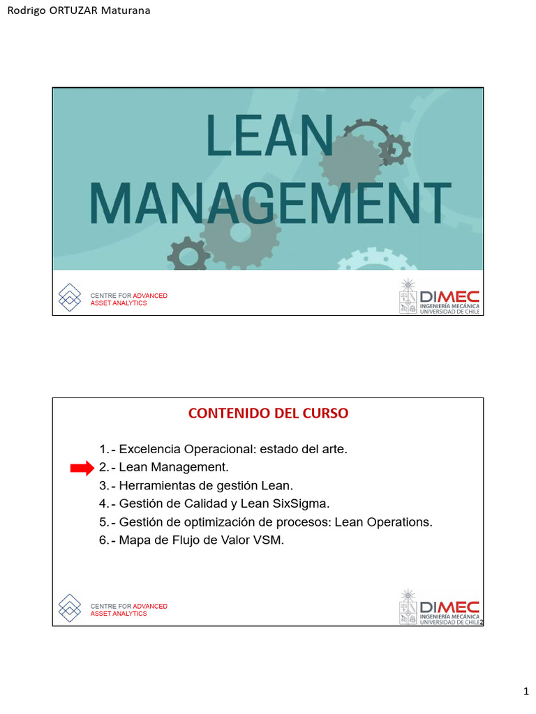 Lean Management | PDF