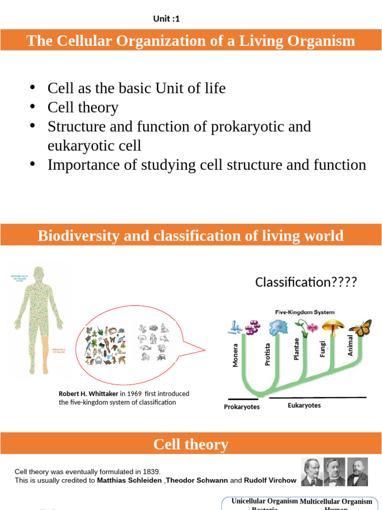 Cell Structure and Function | PDF