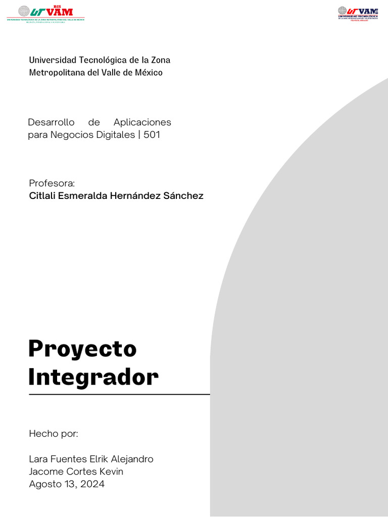Proyecto Integrador | PDF