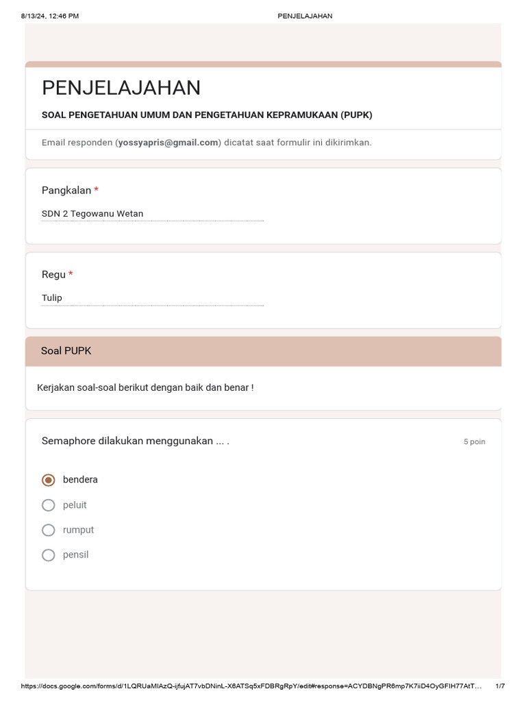 Salinan Dari PU & PUK SD Fix - Google Formulir | PDF