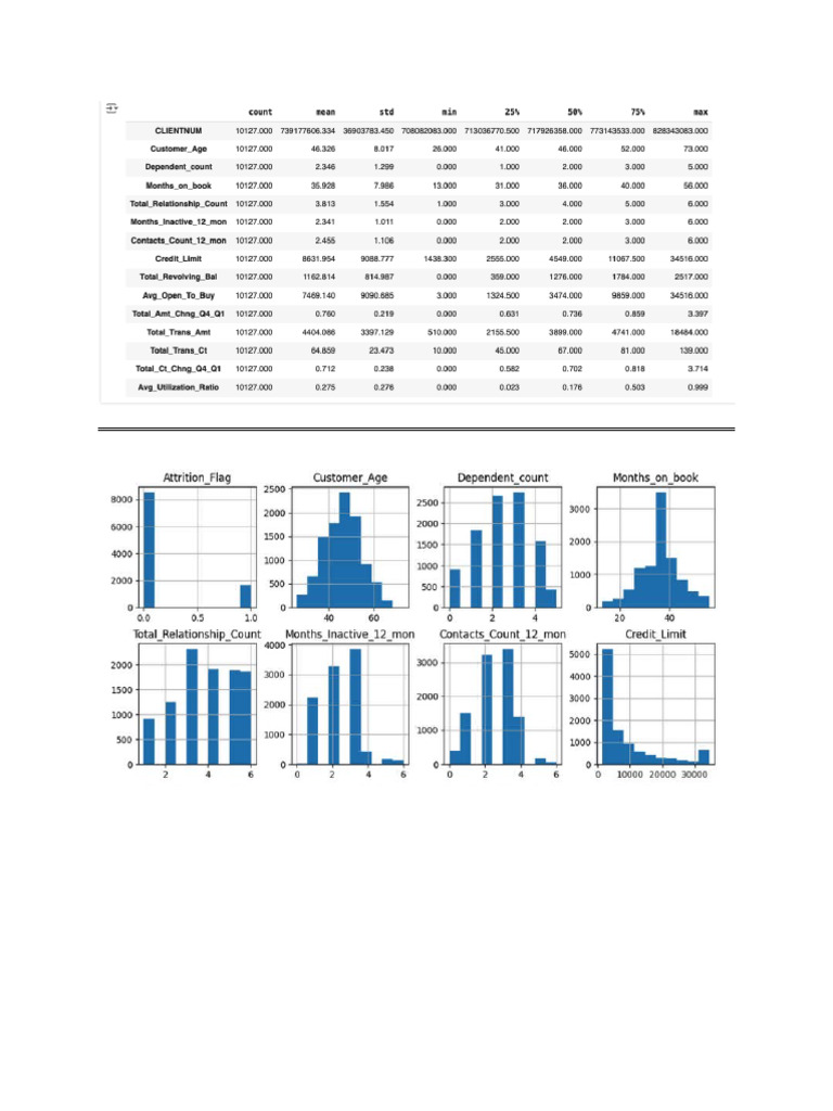 Thera Bank Charts | PDF