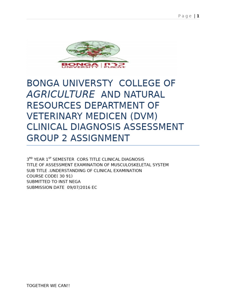 Gruop 2 Mihiretu | PDF