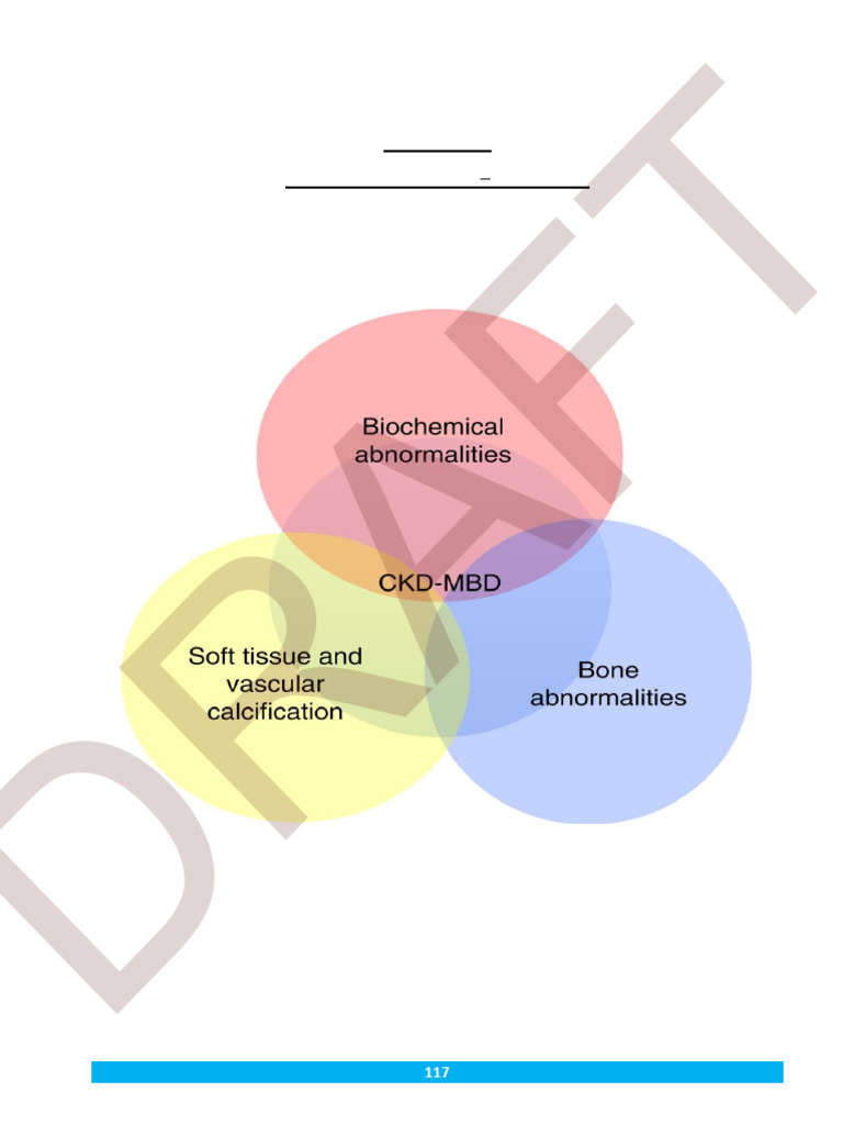 CKD MBD | PDF