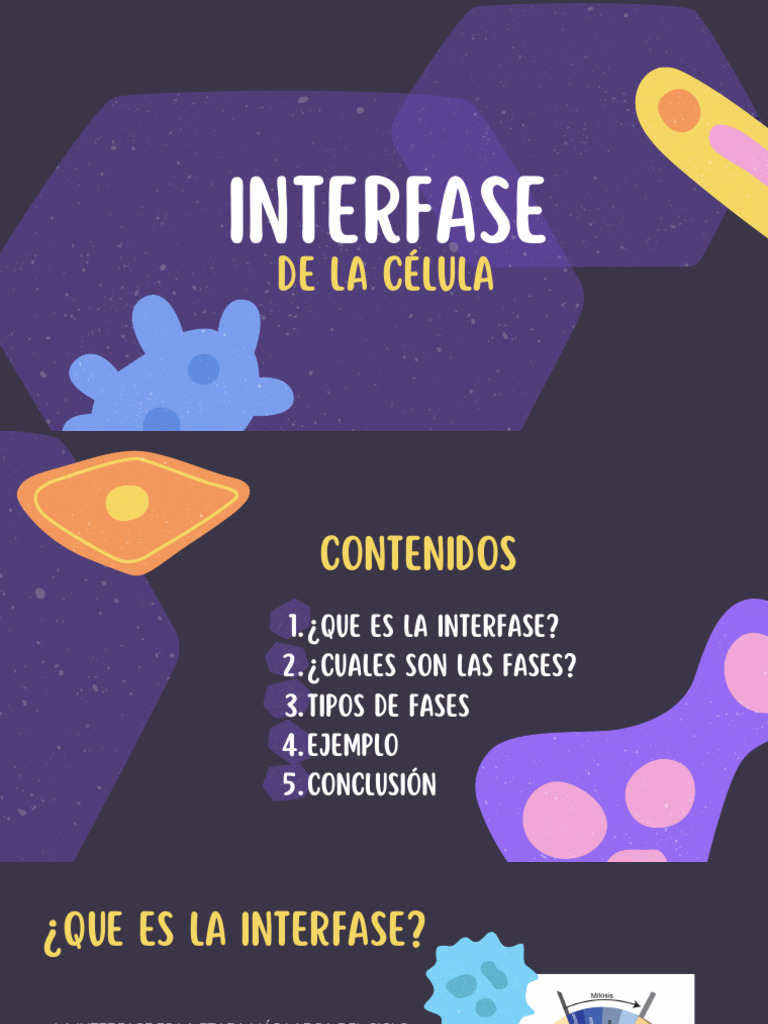 Interfase | PDF