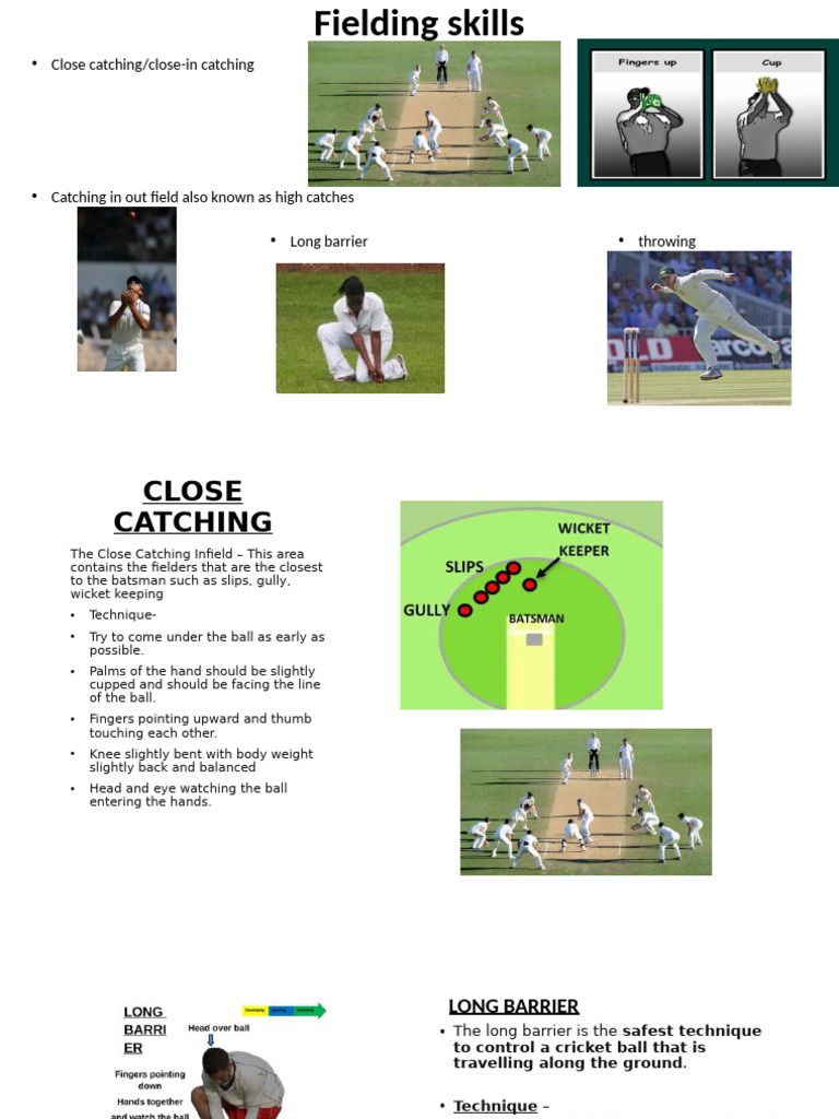 Cricket Fielding | PDF