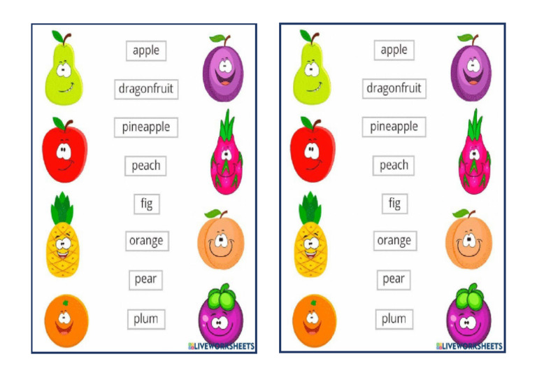 Fruits 1° | PDF