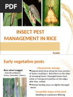 Rice Insect Pest & Their Management | PDF | Biological Pest Control | Rice