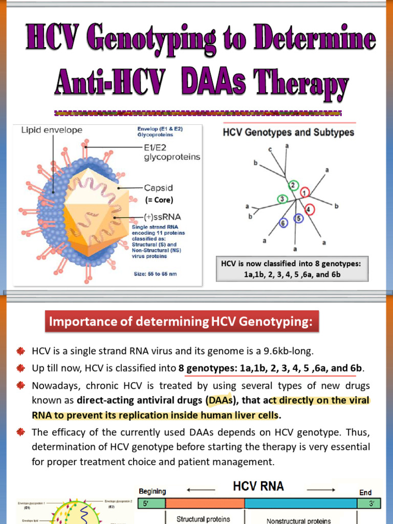 2nd Semst Lesson 6 HCV Genotyping & Anti HCV Therapy | PDF