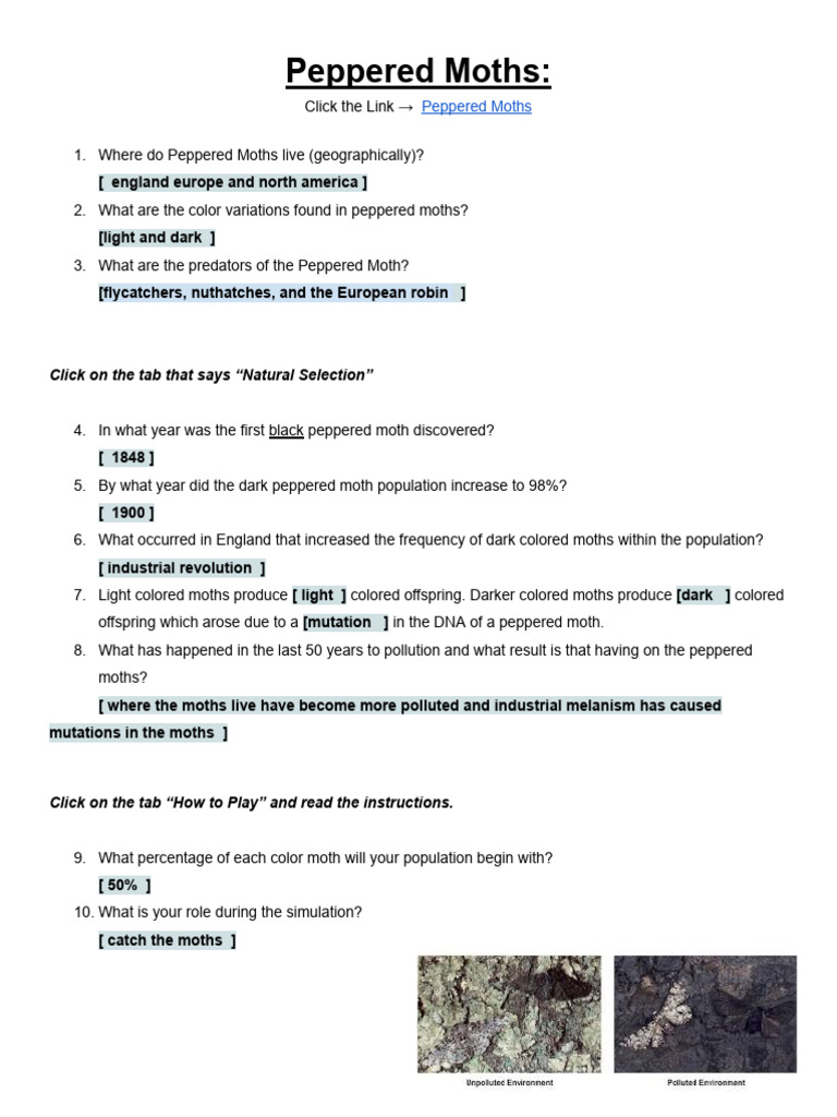 DOMINIC DODD - Peppered Moth & Natural Selection | PDF