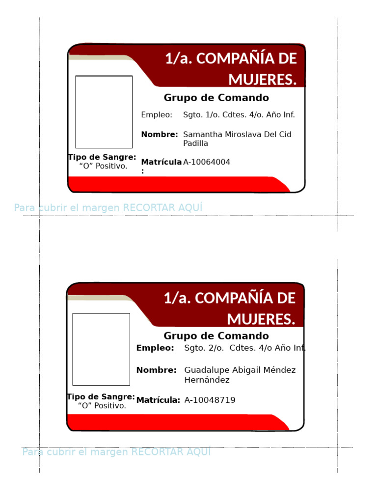 Grupo de Comando Tarjetones Chidos | PDF