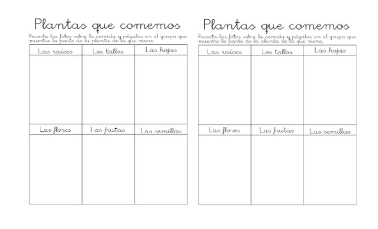 Actividad - Las Plantas Que Comemos | PDF