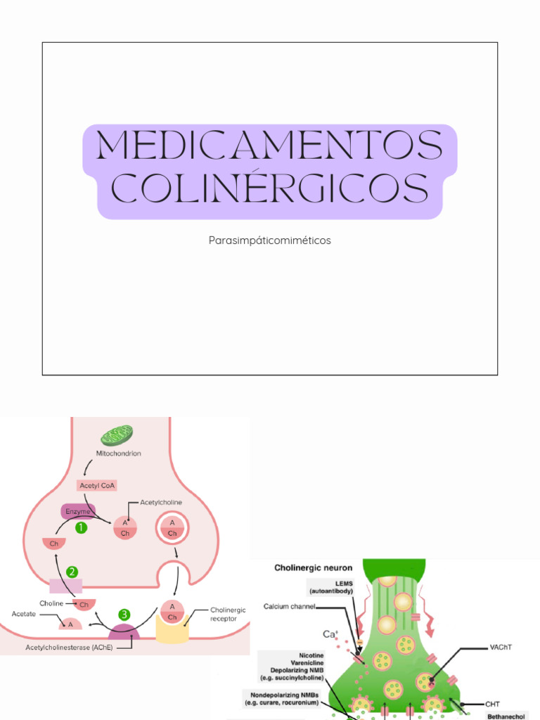 Tablas de Medicamentos (Colinérgicos) | PDF