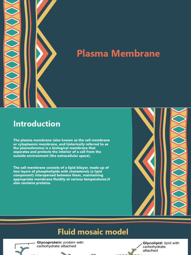 Plasma Membrane | PDF