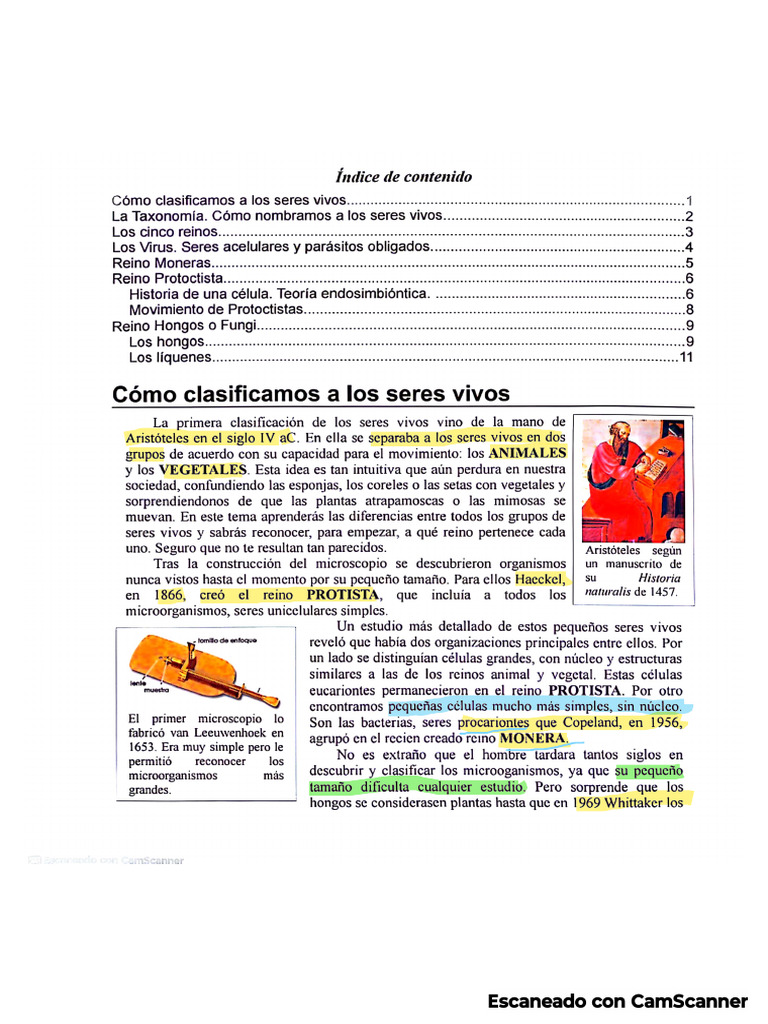 Clasificación de Los Seres Vivos - Prof Suárez Yamil | PDF