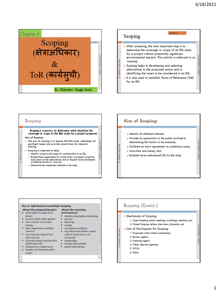 Chapter 3 - Scoping & ToR | PDF
