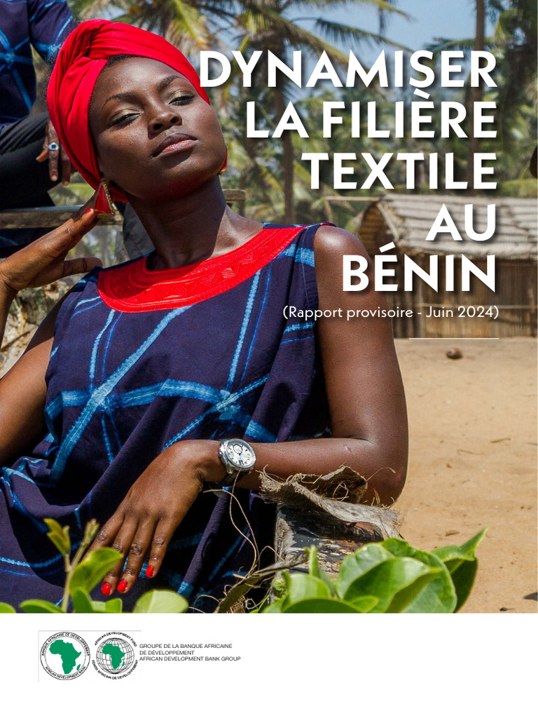 RAPPORT PROVISOIRE - DYNAMISER LA FILIÈRE TEXTILE AU BÉNIN - V1 2024 ...