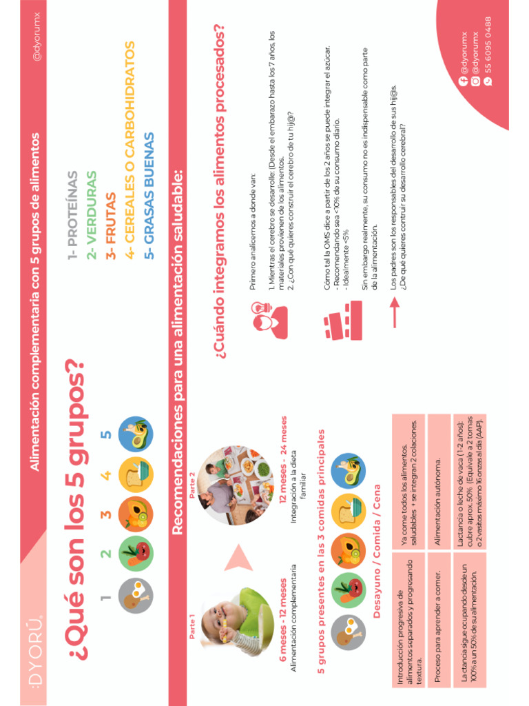 Los 5 Grupos de Alimentos | PDF