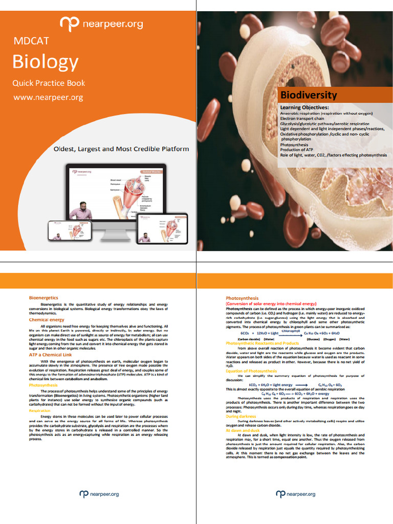 Bioenergetics Wisegot | PDF