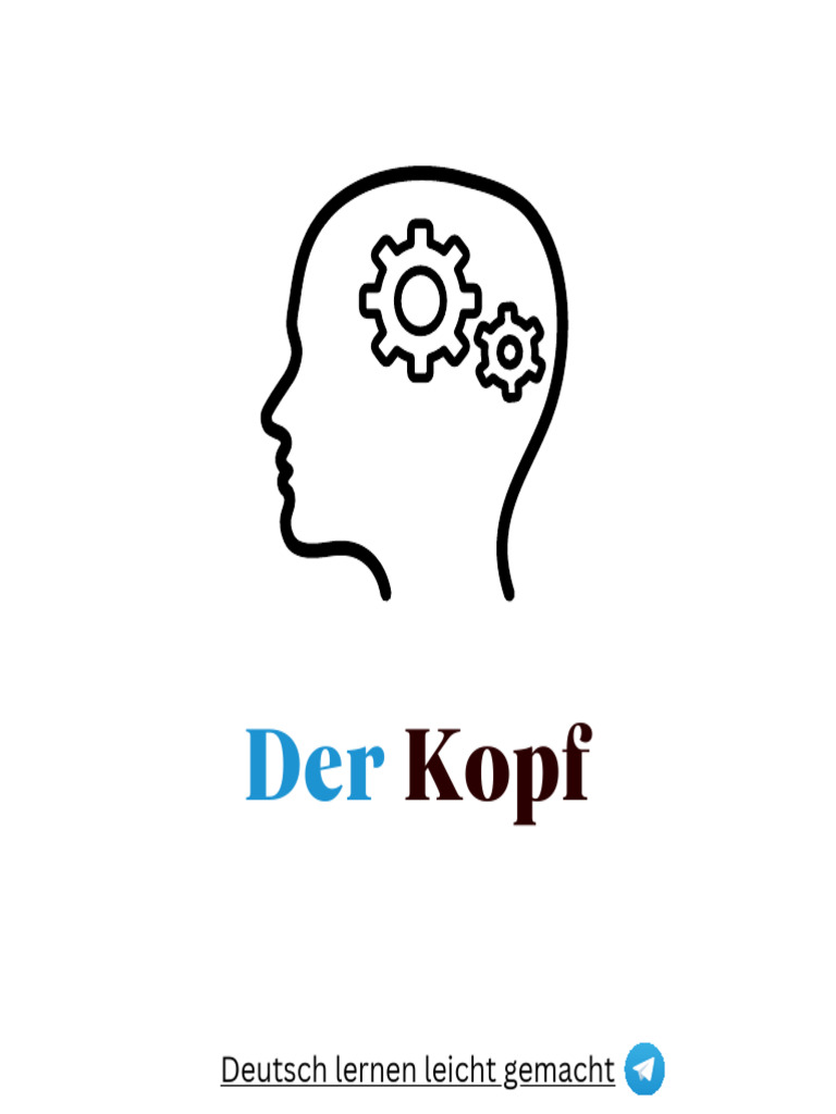 Körperteile Auf Deutsch | PDF
