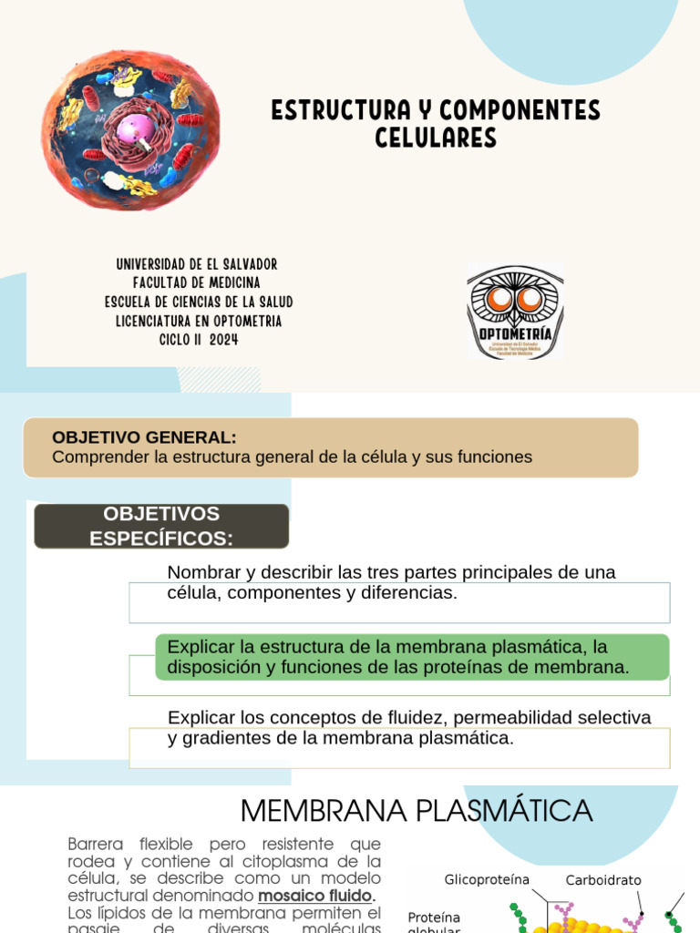 Clase 2 | PDF