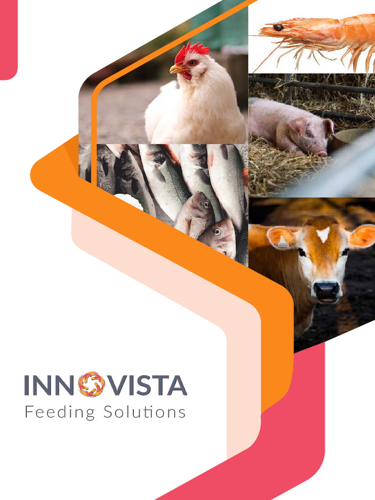 Innovista E Brochure | PDF
